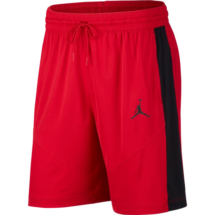 Jordan Jumpman Basketball Shorts (687) - manelsanchez.fr